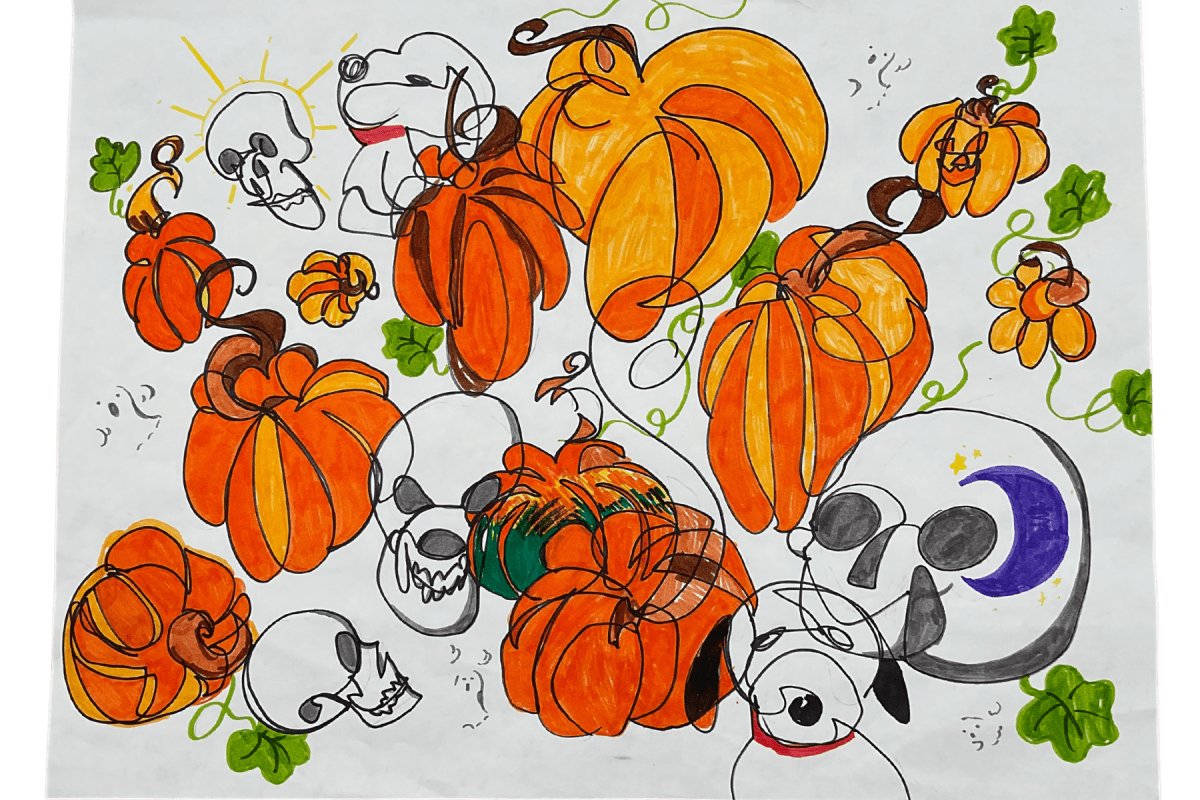 Blind, Continuous Contour Drawings: Engaging Art Lessons for Middle ...