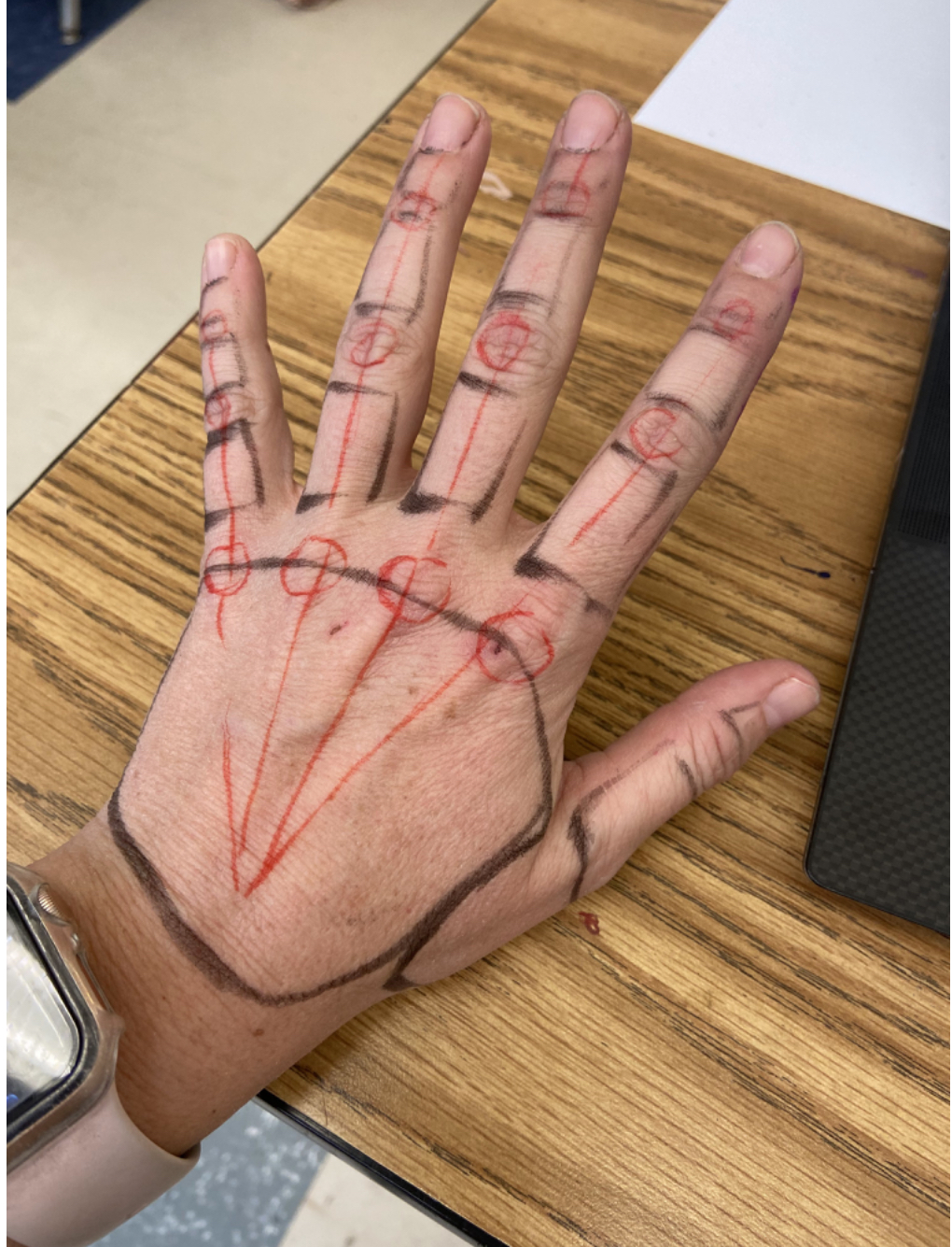 Step-by-Step Guide to Drawing Hands – In the Art Room with Mrs. D